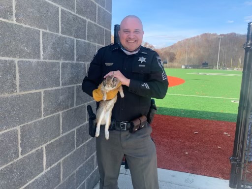 The Tortoise And The Hare | News, Sports, Jobs - Tyler Star News